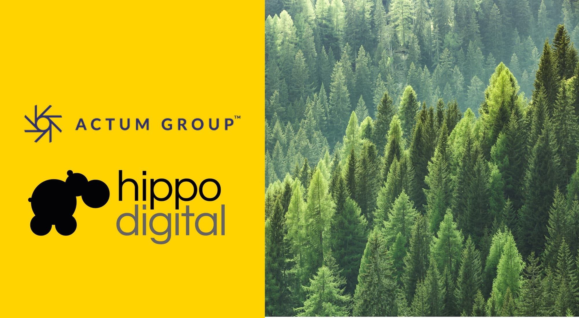 Alex Thomson - growth opportunities in our partnership with Hippo Digital