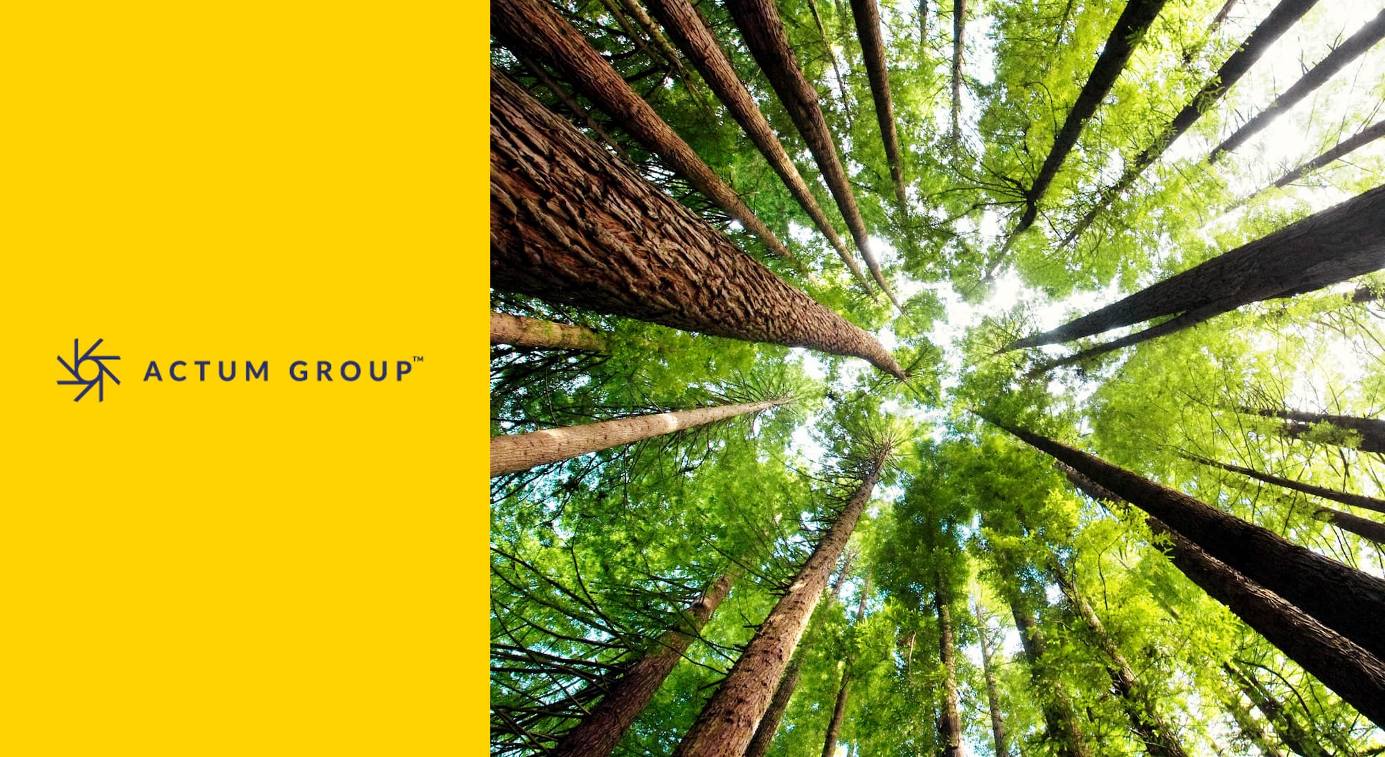 Managing Partner James Blake discusses our track record of ...