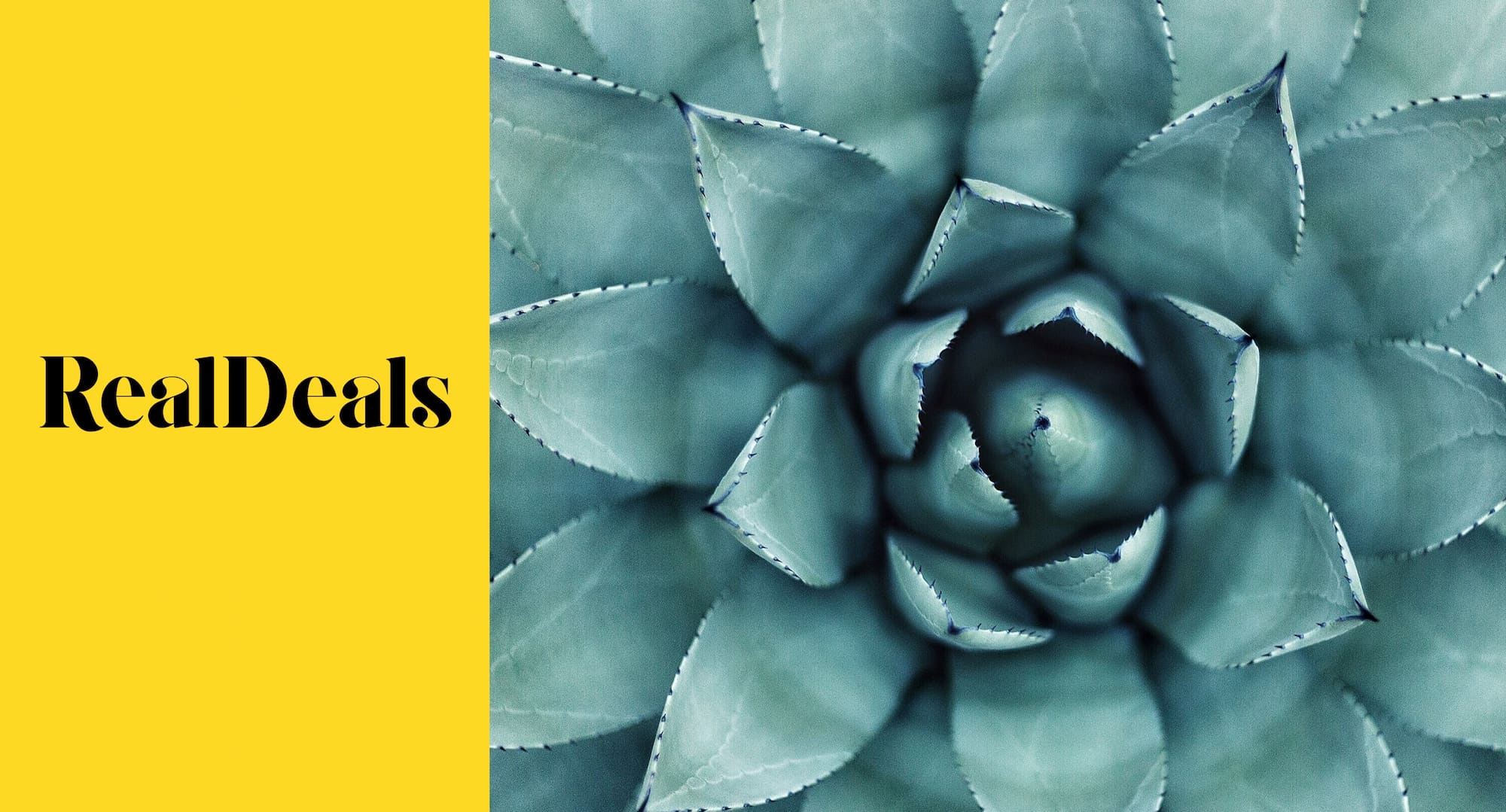 Managing Partner Garrett Curran discusses the benefits of minority ...