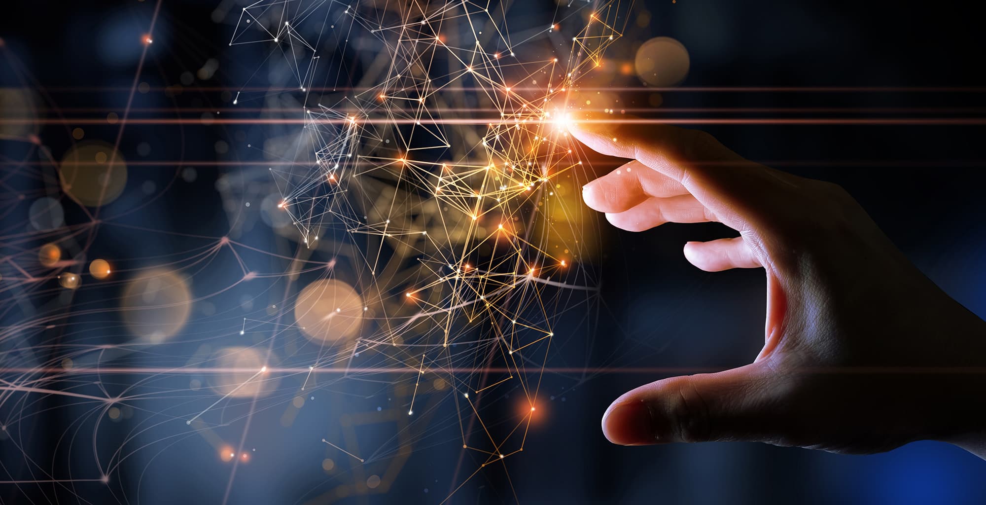 Hippo Digital expands its Data and Engineering capabilities with The ...